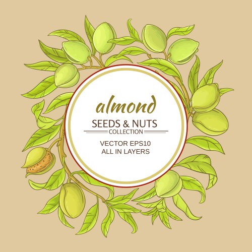 Almond Nut Vector Images (over 11,000)