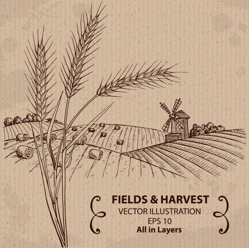 Grind Vector Images (over 14,000)