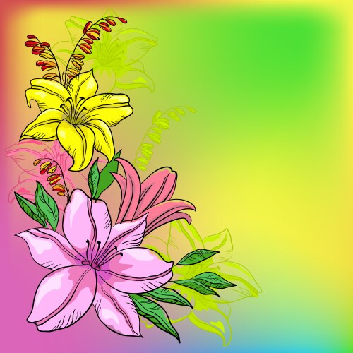 Flower background lily Royalty Free Vector Image