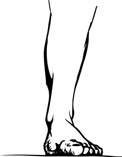 Leg Outline Vector Images (over 35,000)