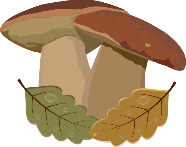 Edible mushrooms vegetable healthy food Royalty Free Vector