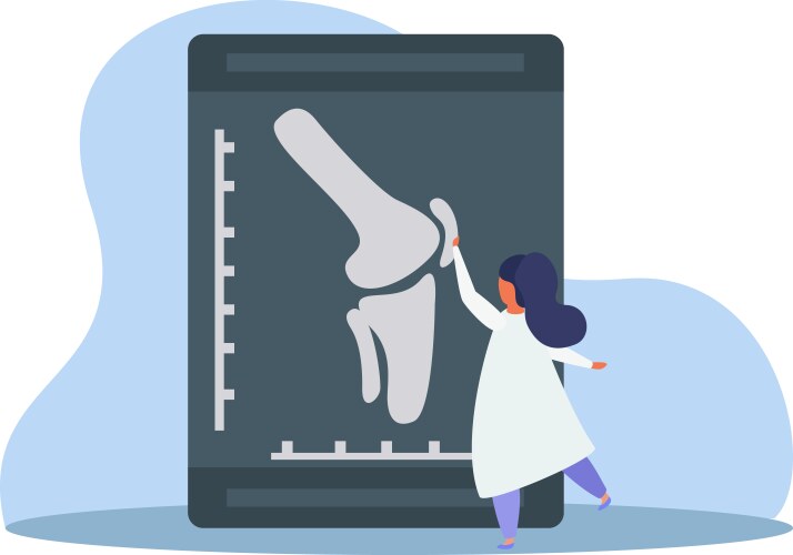 Knee is one of the largest and most complex Vector Image