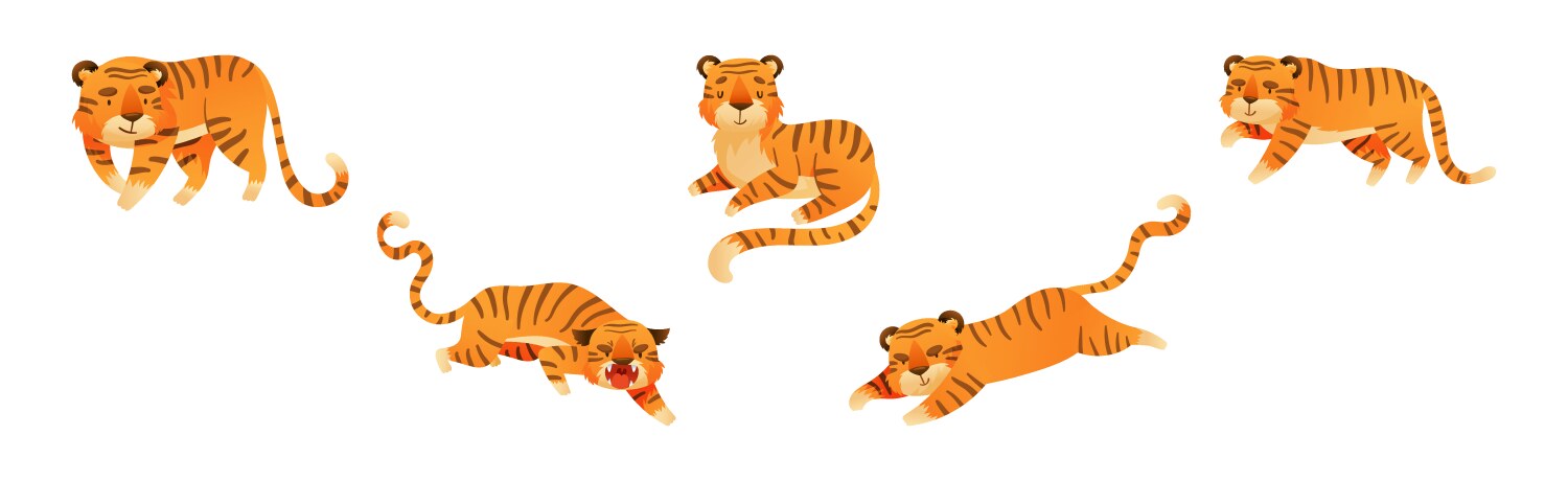Funny tiger predator jungle animal with striped Vector Image