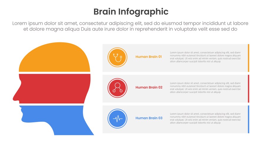 Human brain infographic template banner Royalty Free Vector Human brain infographic template banner Royalty Free Vector