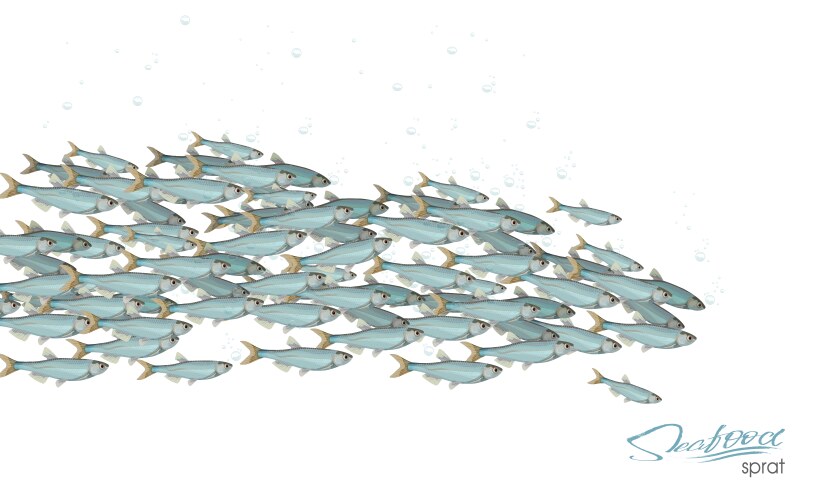 School of fish for header web Royalty Free Vector Image