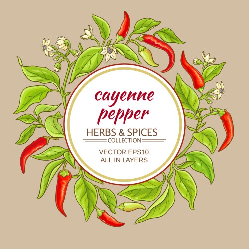 Cayenne pepper elements set Royalty Free Vector Image