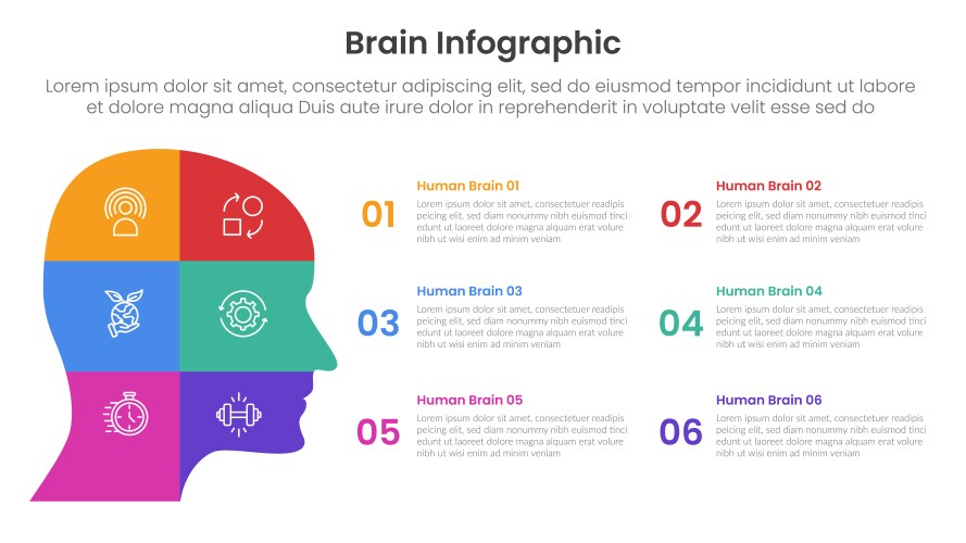 Human brain infographic template banner Royalty Free Vector