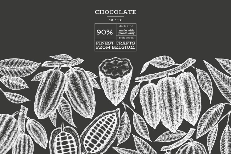 Cocoa design template chocolate beans Royalty Free Vector