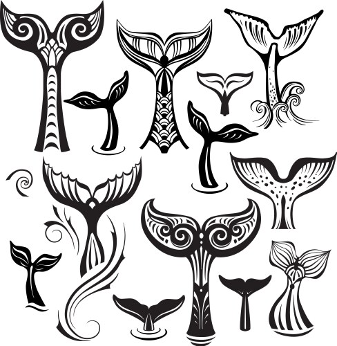 Tail Vector Images (over 210,000)