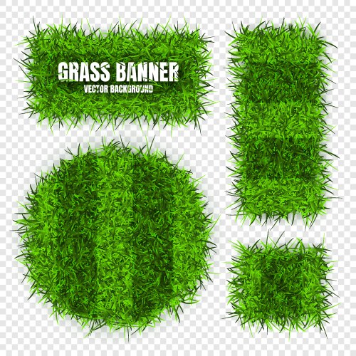 Green grass banners background field meadow Vector Image