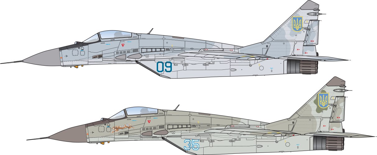 Aircraft color scheme Royalty Free Vector Image