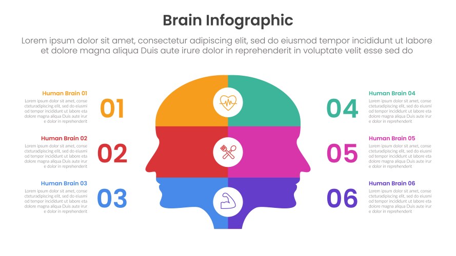 Human brain infographic template banner Royalty Free Vector Human brain infographic template banner Royalty Free Vector