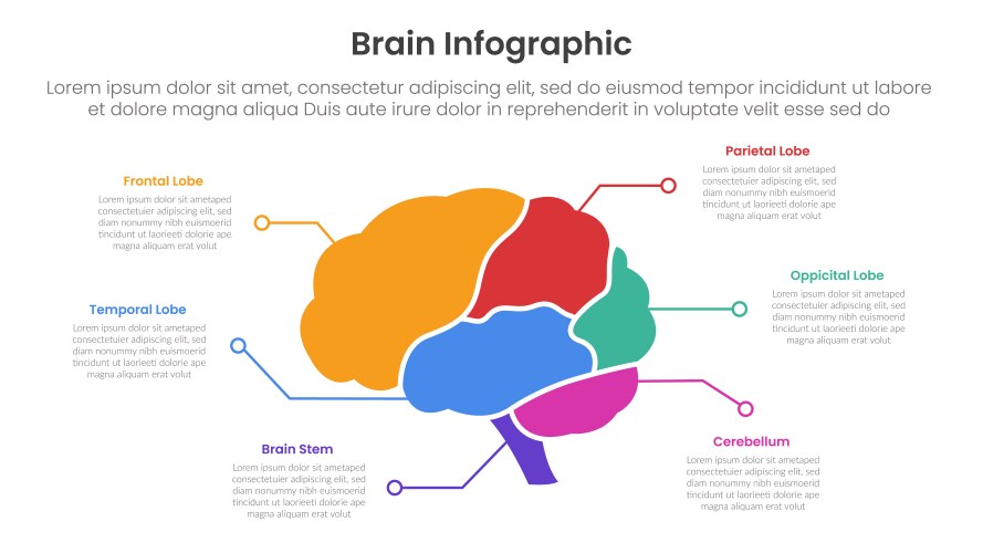 Banner Brain Vector Images (over 13,000)