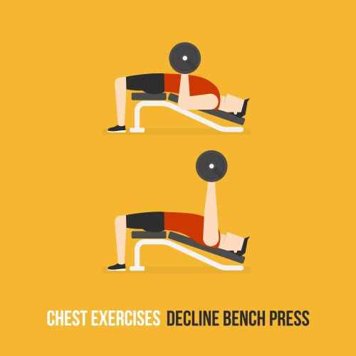 Chest Press Vector Images (over 970)