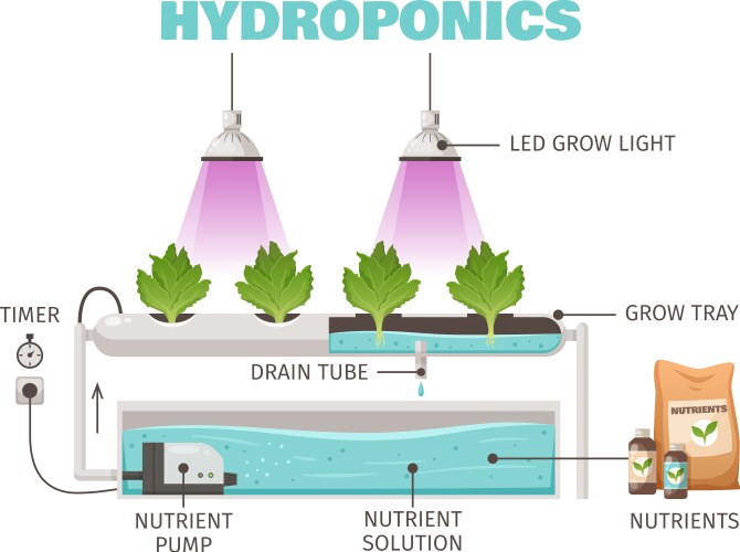 Hydroponics icons set a collection Royalty Free Vector Image