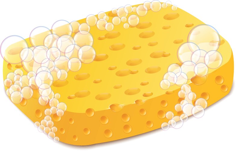 Sponge foam bubbles Royalty Free Vector Image - VectorStock