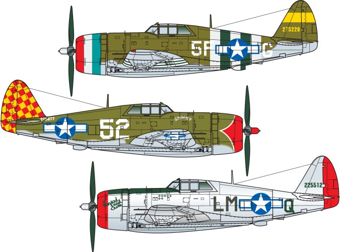 Aircraft color scheme Royalty Free Vector Image