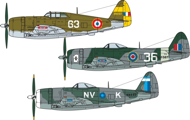 Aircraft color scheme Royalty Free Vector Image