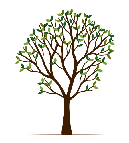 Green tree on white background Royalty Free Vector Image