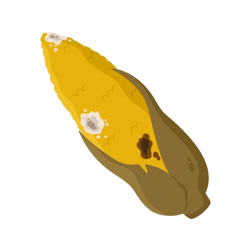 Rotten Vector Images (over 4,100)