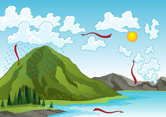 Water cycle Royalty Free Vector Image - VectorStock