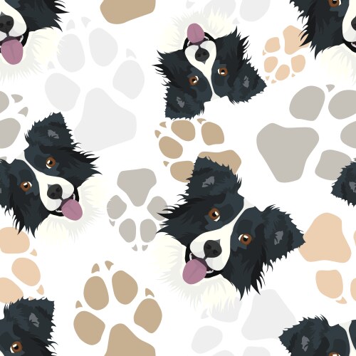 Border Collie Vector Images (over 1,700)