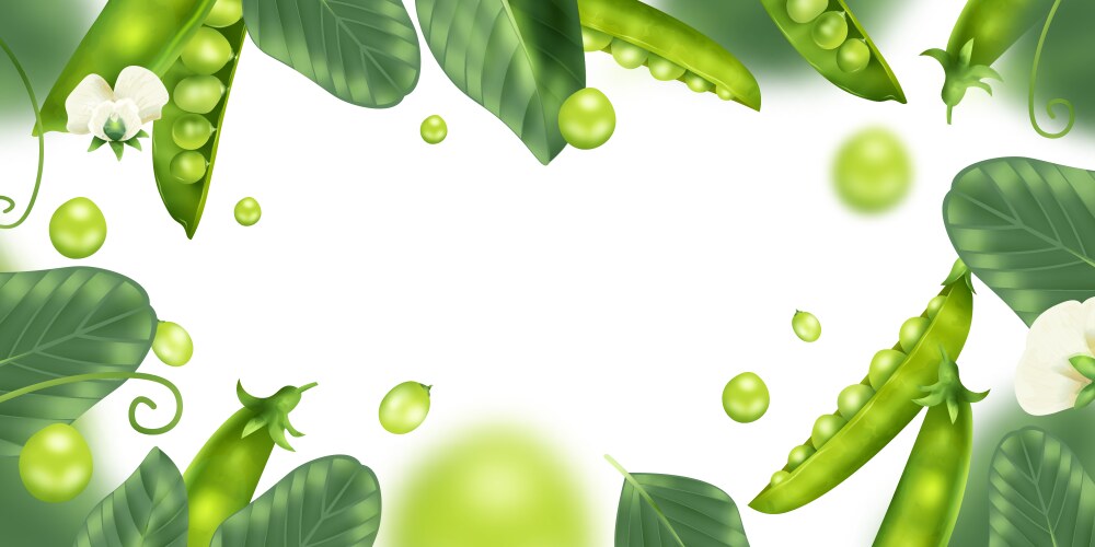 Peas Vector Images (over 26,000)