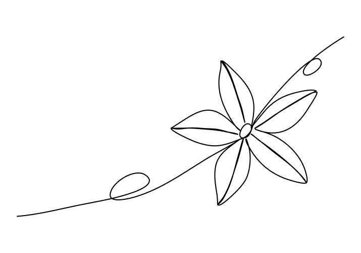 Flower one line drawing Royalty Free Vector Image