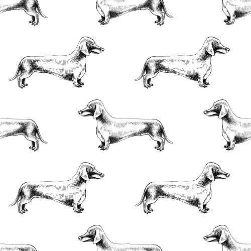 Dachshund Outline Vector Images (over 2,100)