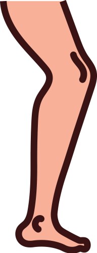 Leg Royalty Free Vector Image - VectorStock