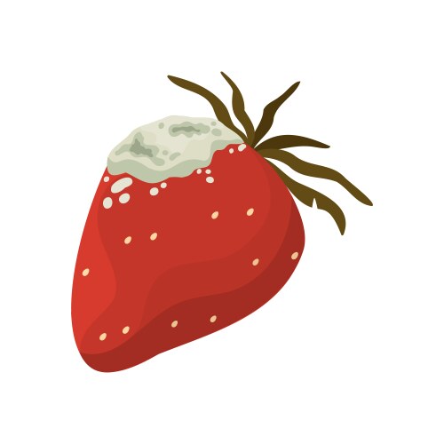 Rotten Vector Images (over 4,100)