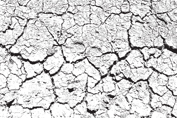 Texture cracked surface isolated on transparent Vector Image