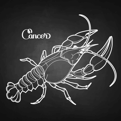 Graphic cancer Royalty Free Vector Image - VectorStock