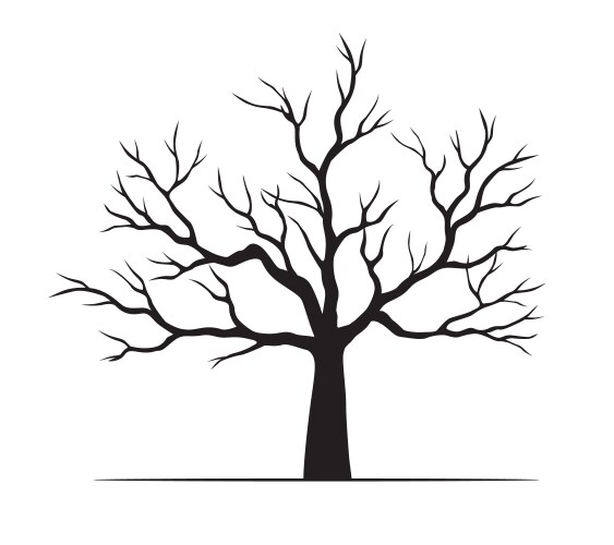 Tree Outline Vector Images (over 170,000)