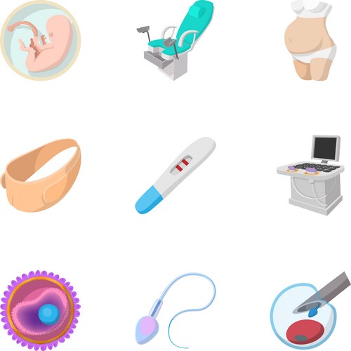 Human pregnancy icons set Royalty Free Vector Image