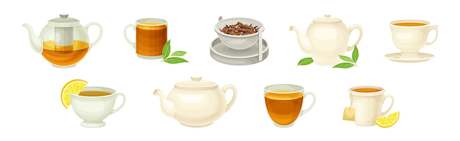 Tea brewing with teapot and french press Vector Image