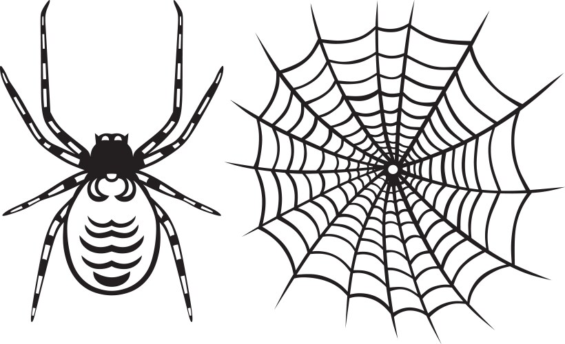 Spider Web Vector Images (over 37,000)