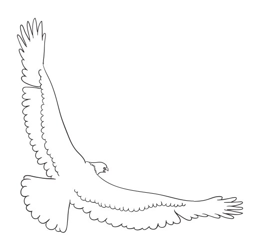 Eagle Line Art Vector Images (over 11,000)