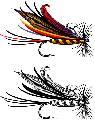 Fly Vector Images (over 900,000)