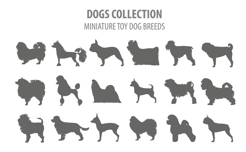 Dogs breed collection Royalty Free Vector Image
