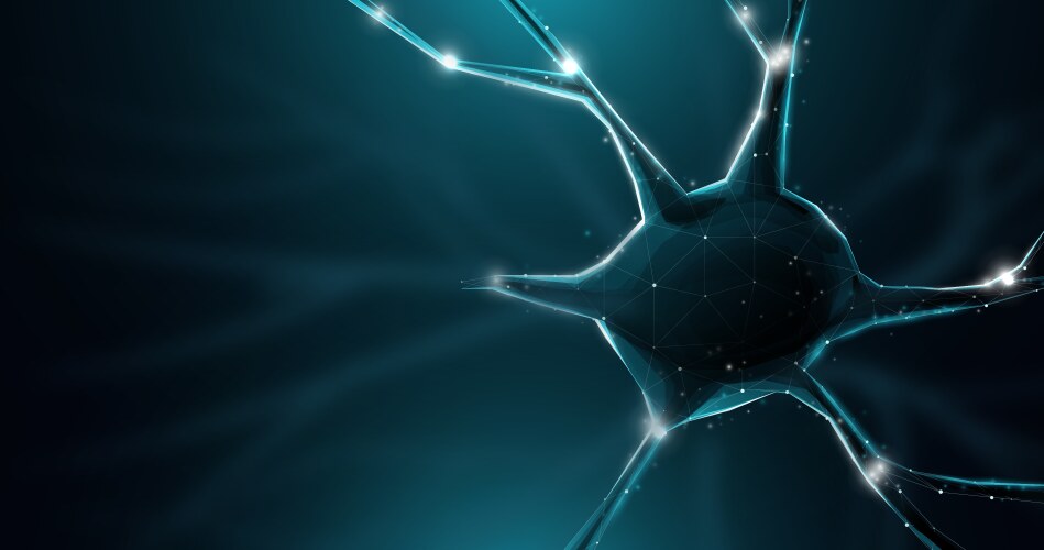 Nerve Cell Vector Images (over 4,300)