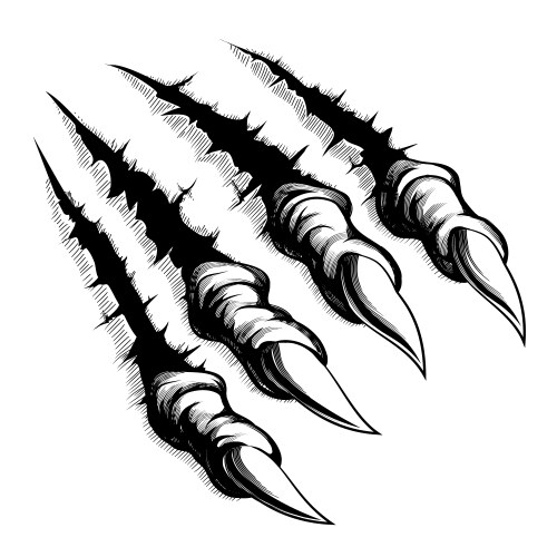 Sharp Claw Illustration – Free Vector | VectorStock