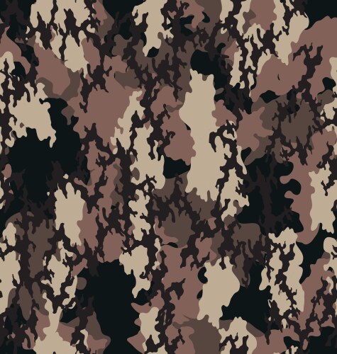 Arid flectarn camouflage seamless patterns Vector Image