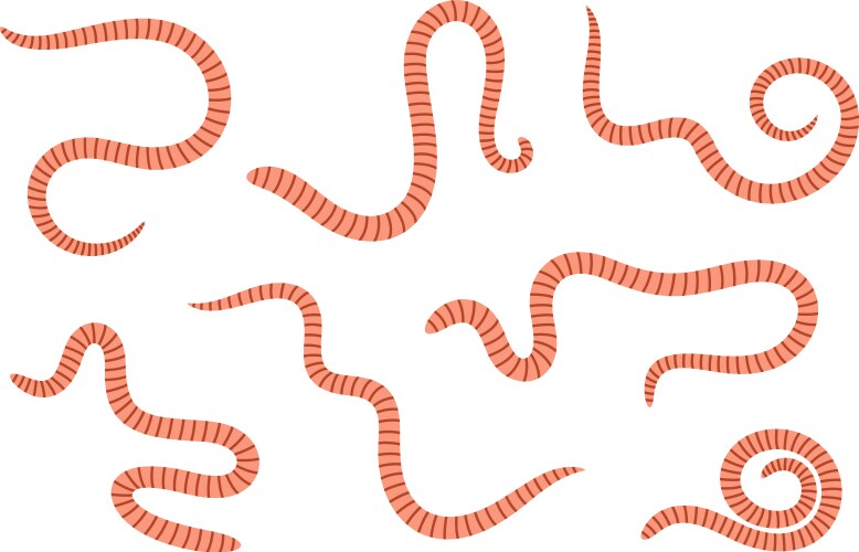Worm Royalty Free Vector Image - VectorStock