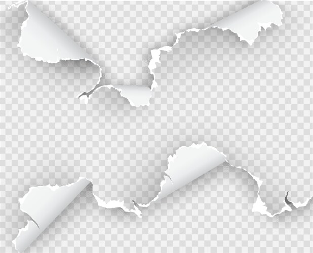 Ripped Paper Texture Royalty Free Vector Image