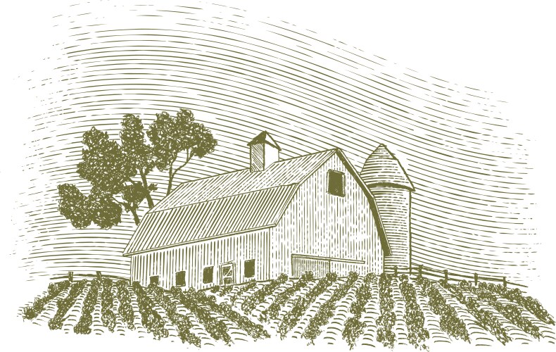 Barn Vector Images (over 45,000)