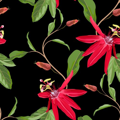 Red passion flower seamless pattern Royalty Free Vector