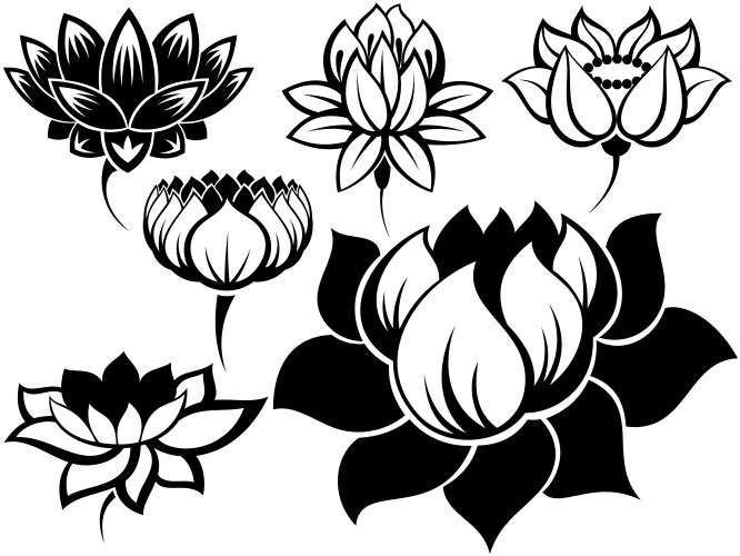 Lotus flower Royalty Free Vector Image - VectorStock