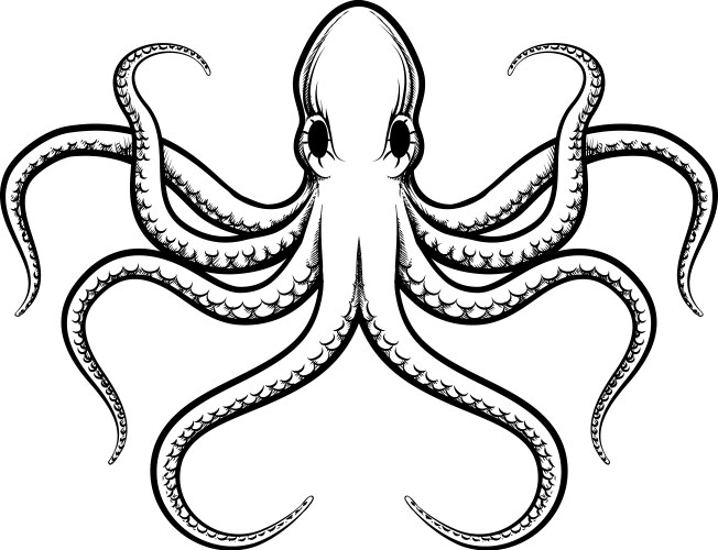 Octopus Print Vector Images (over 3,700)