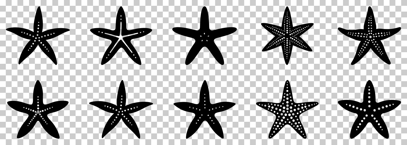 Starfish Vector Images (over 43,000)